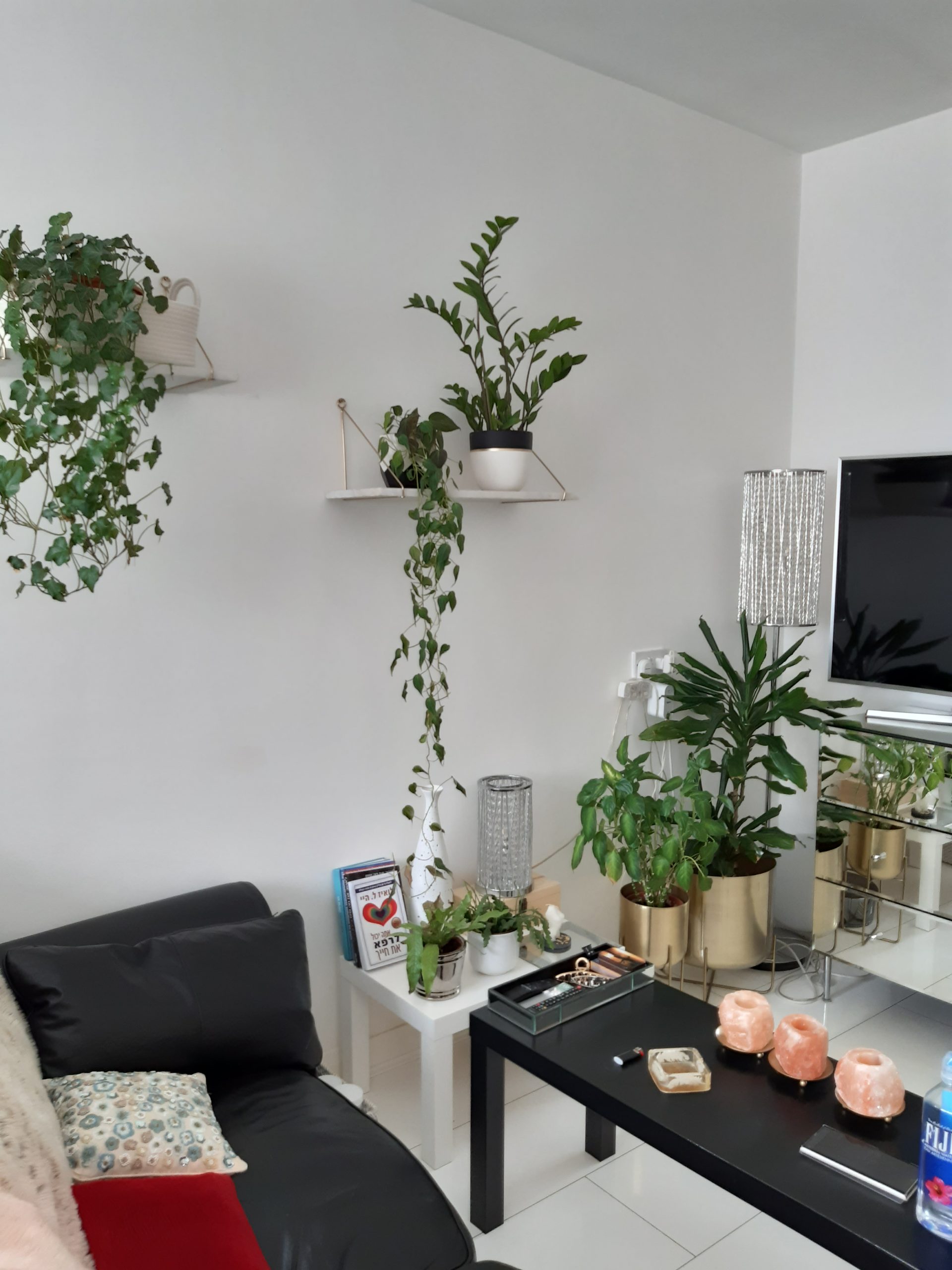 Gorgeous Decor at Shine House - jLiving